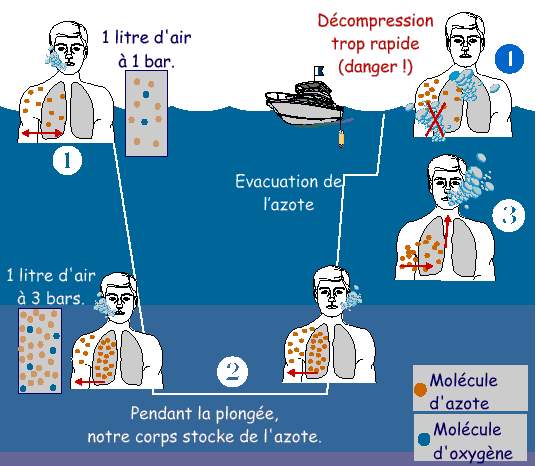 CSCP-Les acidents dans l'espace lointain et la décompression N2&3